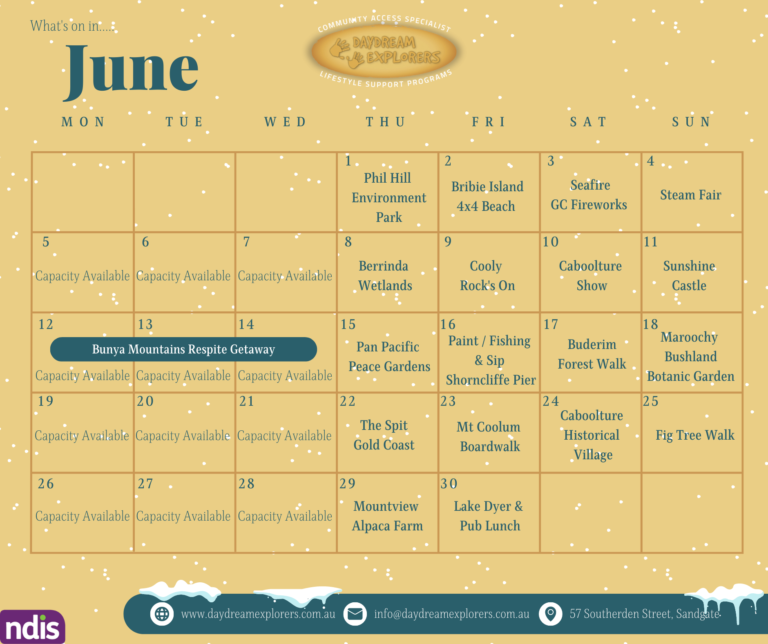 Daydream Explorers – Support Services done differently