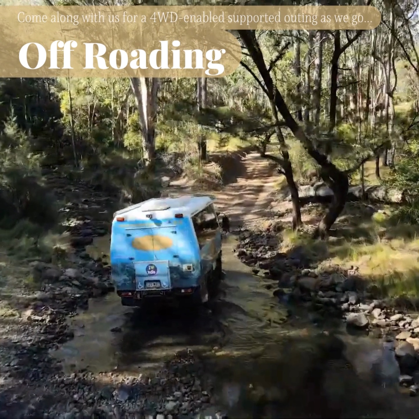 Daydream Explorers – Support Services done differently