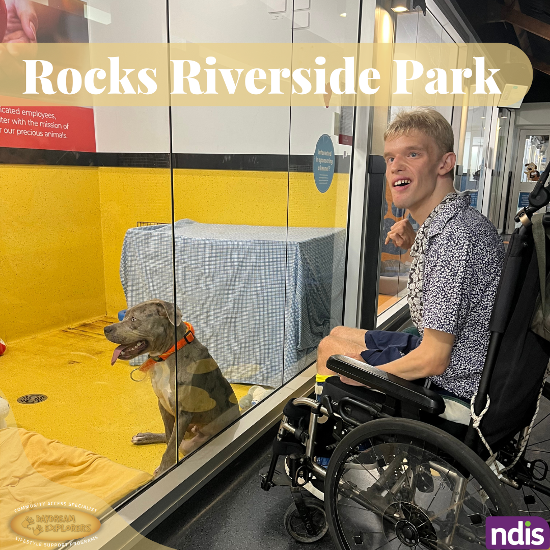 Daydream Explorers – Unique Disability Support Service