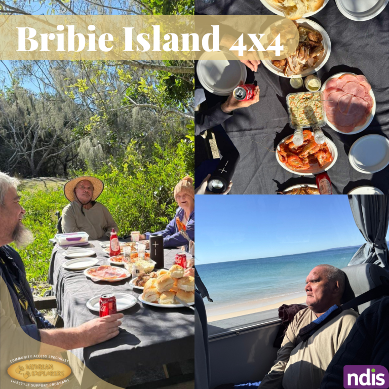 Daydream Explorers – Unique Disability Support Service