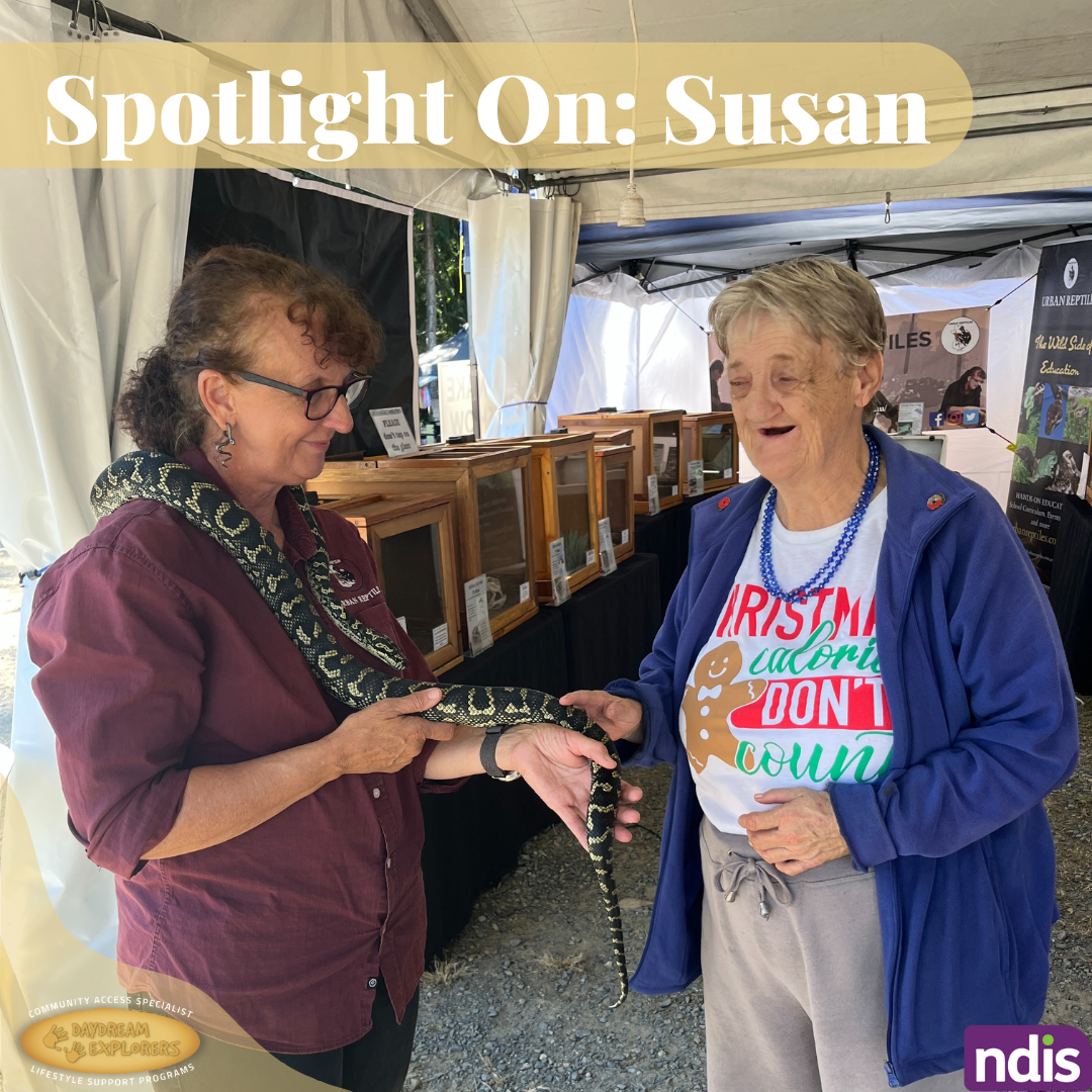 Daydream Explorers – Unique Disability Support Service