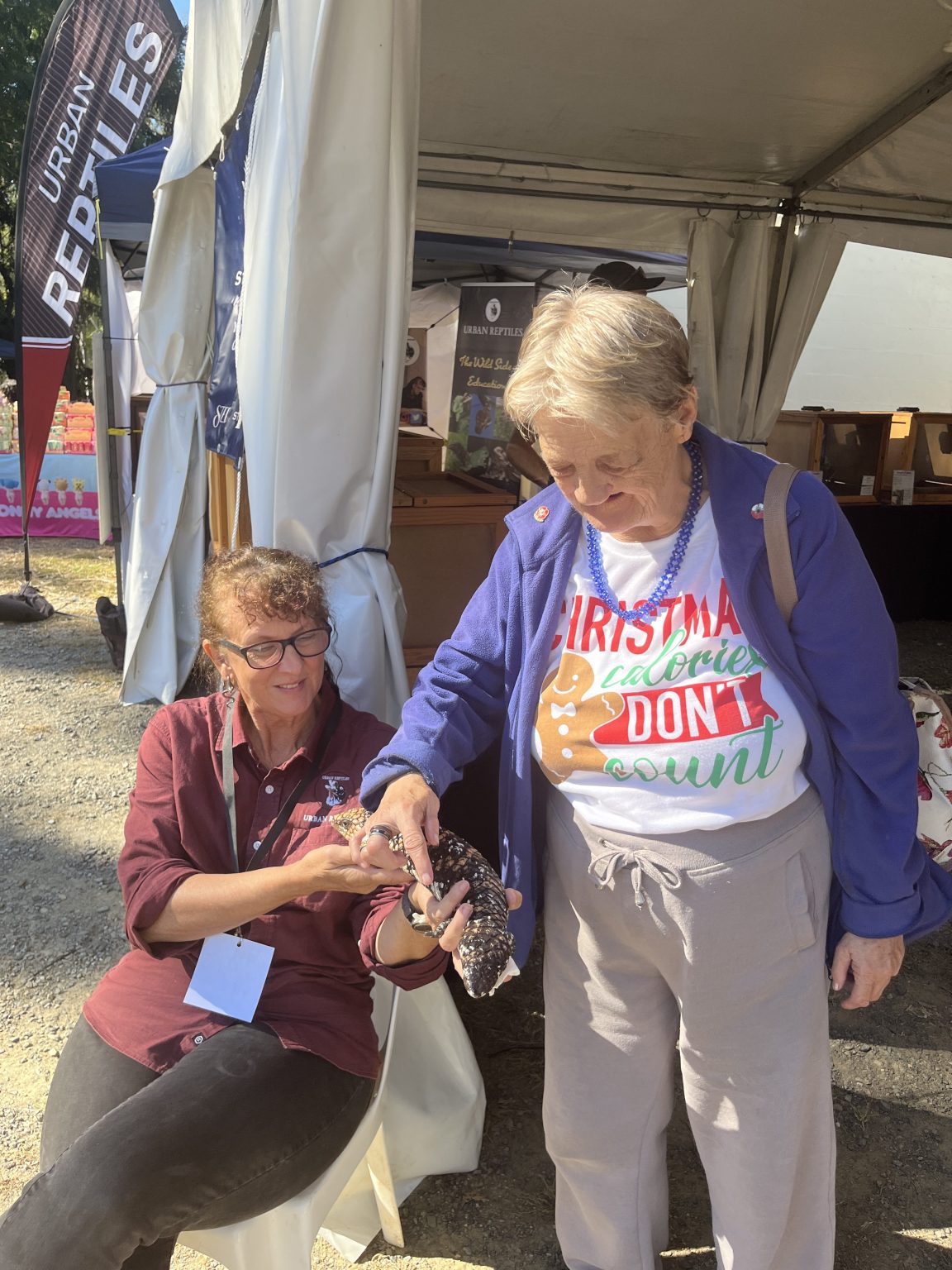 Spotlight on Susan – Daydream Explorers